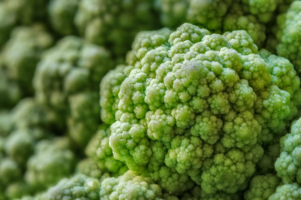 Fotografía Coliflor verde de Miguel Angel Vázquez Márquez