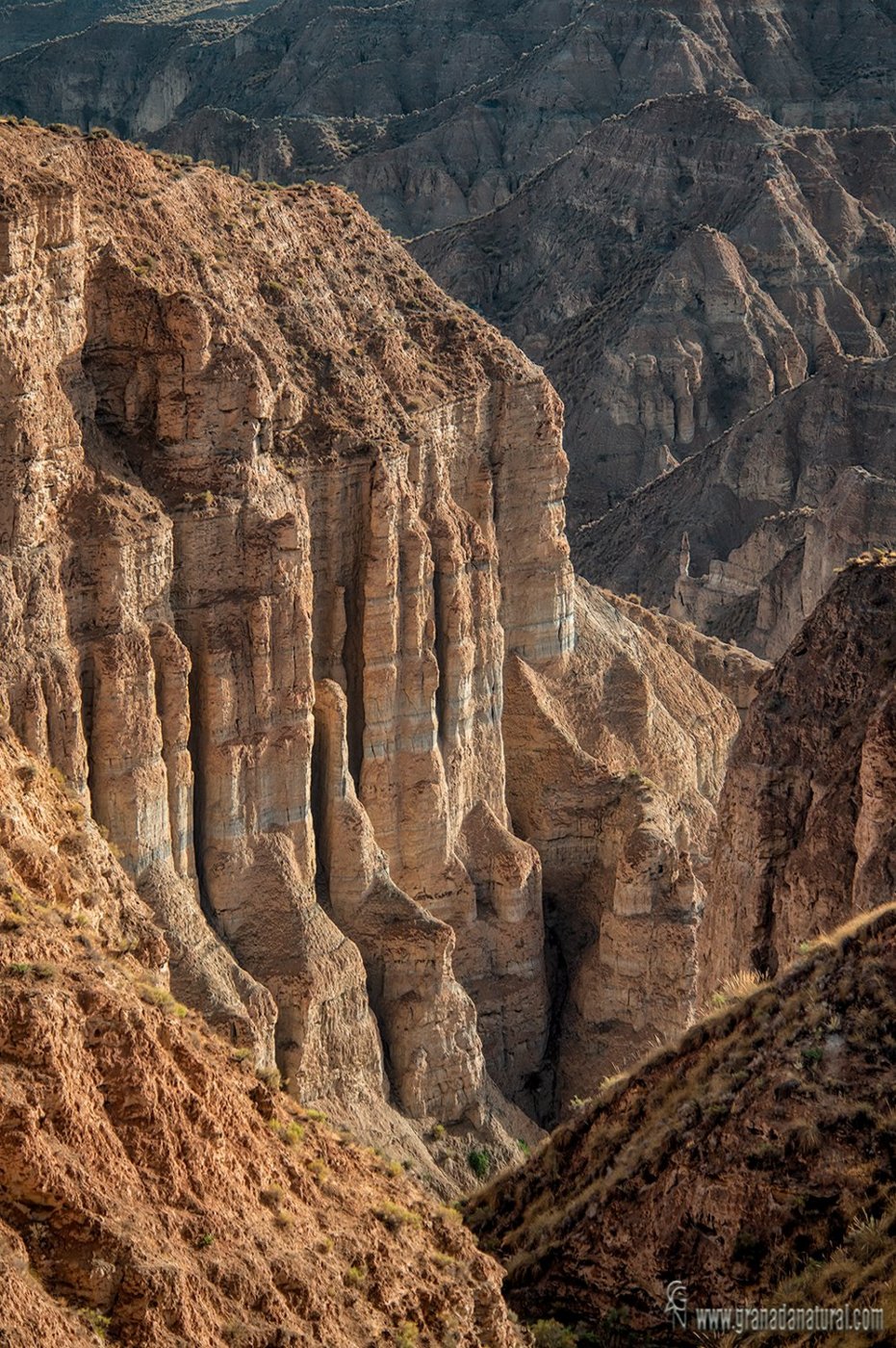 Estructuras geológicas del barranco del Pollo ( Desierto de Gorafe) de ...